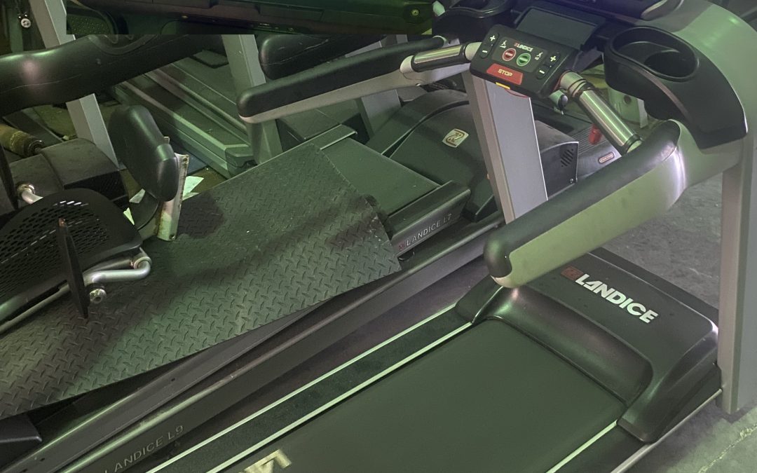 Landice PRO TRAINER TREADMILL | Exercise Systems, Inc.